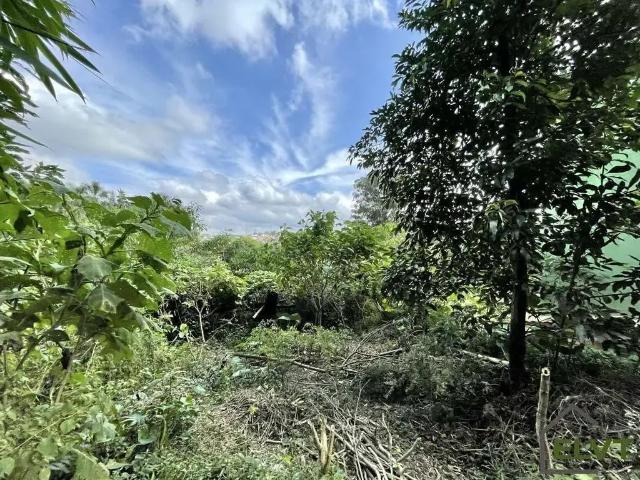 Terreno em Condomínio para Venda em Cotia/SP Vila Santo Antônio