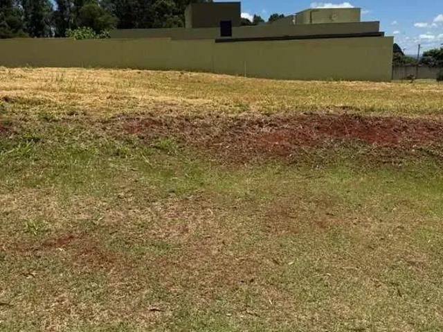 Terreno em Condomínio para Venda em Cravinhos/SP Alto da Boa Vista