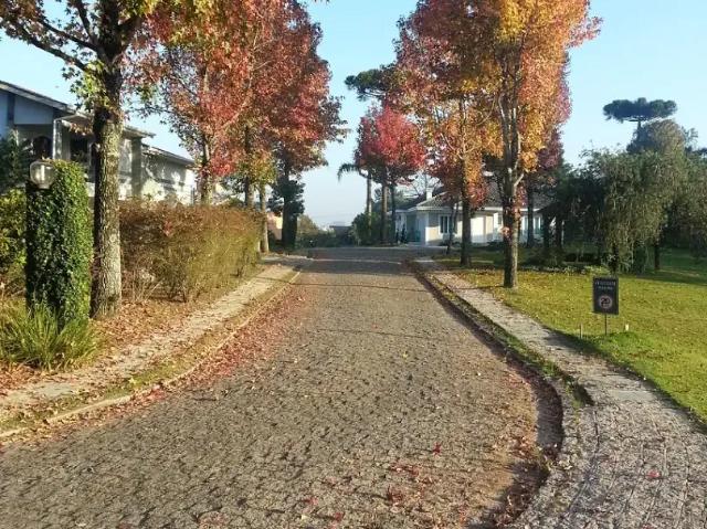 Terreno em Condomínio para Venda em Curitiba/PR Uberaba