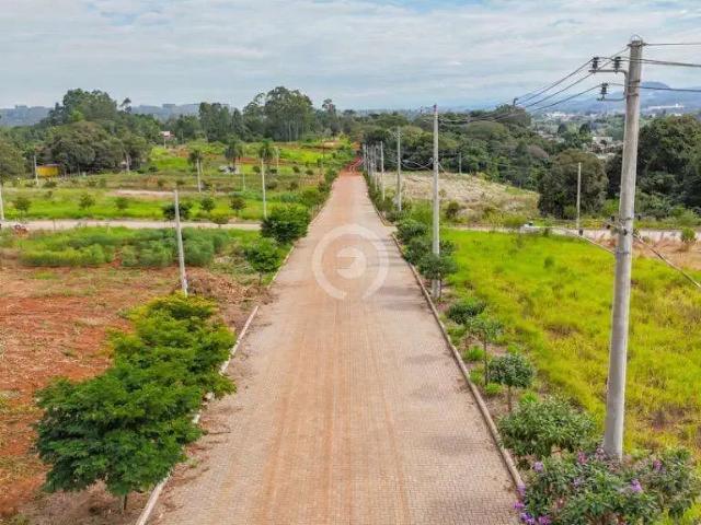 Terreno em Condomínio para Venda em Dois Irmãos/RS São João