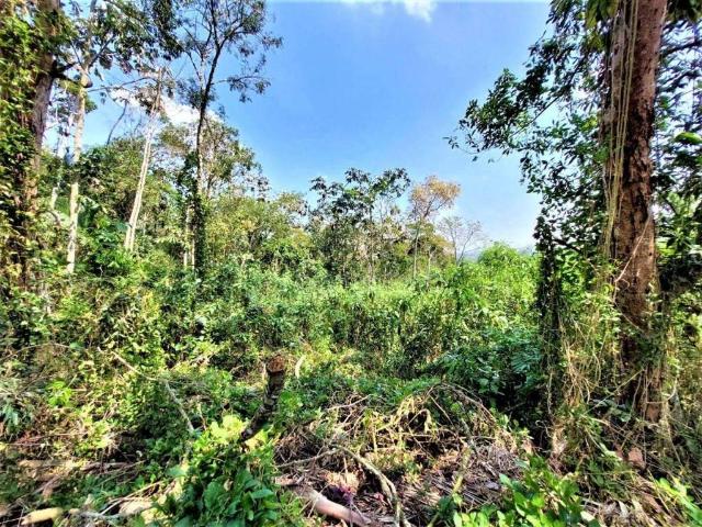 Terreno em Condomínio para Venda em Embu das Artes/SP Granja Viana