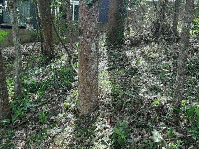 Terreno em Condomínio para Venda em Embu das Artes/SP Granja Viana