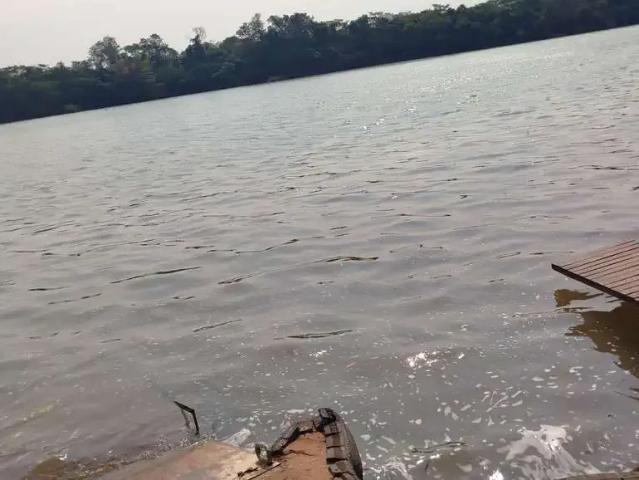 Terreno em Condomínio para Venda em Engenheiro Beltrão/PR Ivailândia