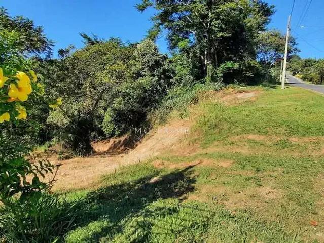 Terreno em Condomínio para Venda em Esmeraldas/MG Condomínio Solar Das Palmeiras