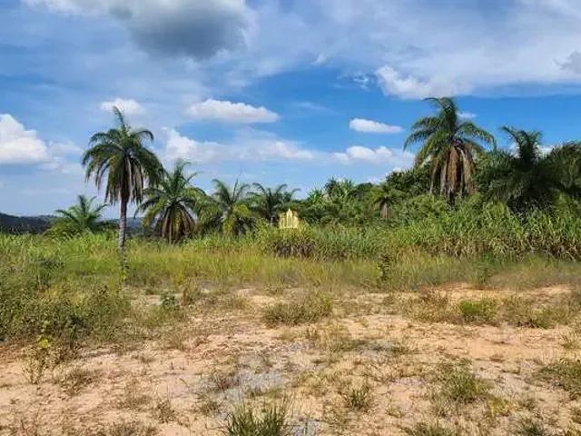 Terreno em Condomínio para Venda em Esmeraldas/MG Condomínio Solar Das Palmeiras