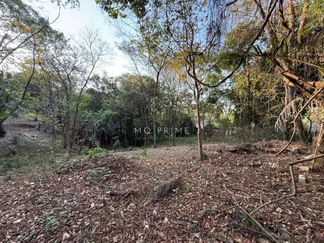 Terreno em Condomínio para Venda em Esmeraldas/MG Ipê Amarelo