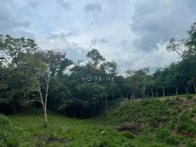 Terreno em Condomínio para Venda em Esmeraldas/MG Ipê Amarelo