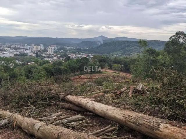 Terreno em Condomínio para Venda em Estância Velha/RS União