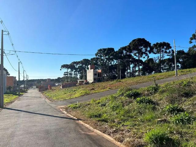Terreno em Condomínio para Venda em Fazenda Rio Grande/PR Gralha Azul