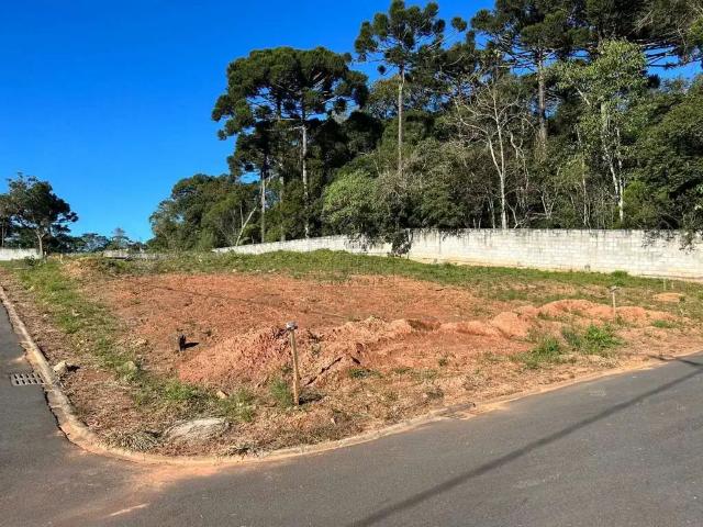 Terreno em Condomínio para Venda em Fazenda Rio Grande/PR Gralha Azul