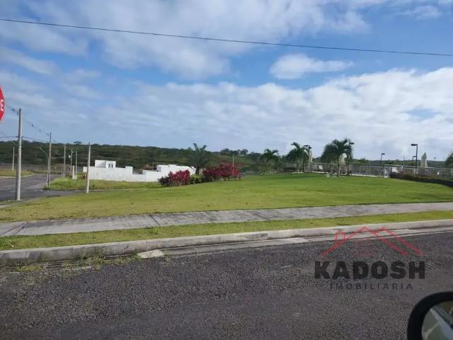 Terreno em Condomínio para Venda em Feira de Santana/BA Nova Esperança