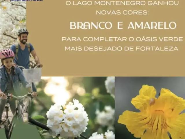 Terreno em Condomínio para Venda em Fortaleza/CE Prefeito José Walter