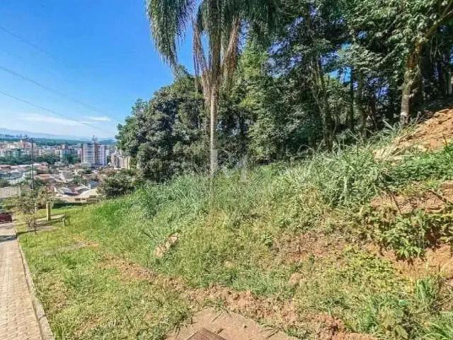 Terreno em Condomínio para Venda em Florianópolis/SC Córrego Grande 7 Quartos