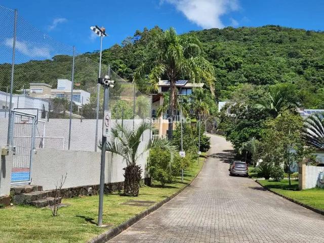 Terreno em Condomínio para Venda em Florianópolis/SC Córrego Grande