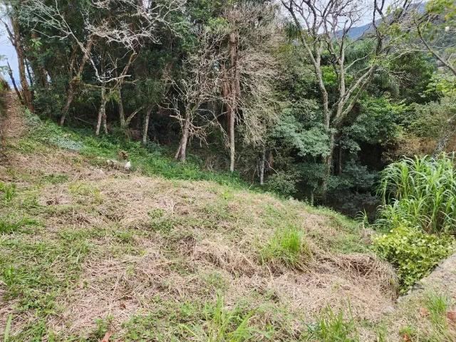 Terreno em Condomínio para Venda em Florianópolis/SC Córrego Grande