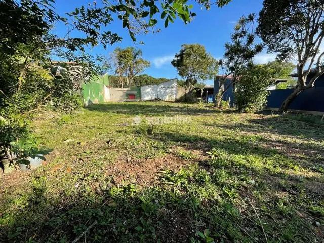 Terreno em Condomínio para Venda em Florianópolis/SC Campeche