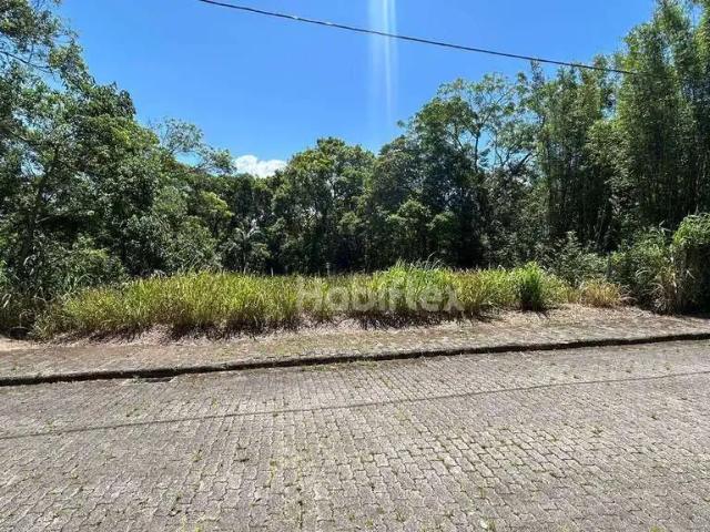 Terreno em Condomínio para Venda em Florianópolis/SC Campeche