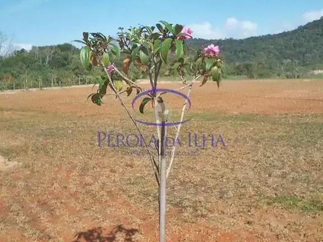 Terreno em Condomínio para Venda em Florianópolis/SC Canasvieiras