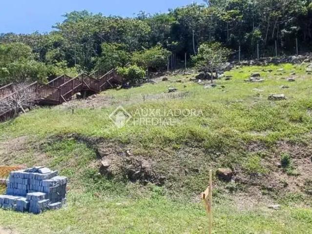 Terreno em Condomínio para Venda em Florianópolis/SC Ingleses do Rio Vermelho