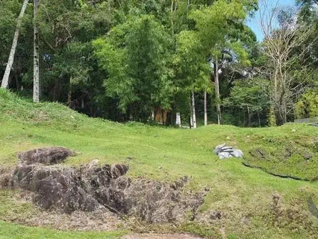 Terreno em Condomínio para Venda em Florianópolis/SC Itacorubi