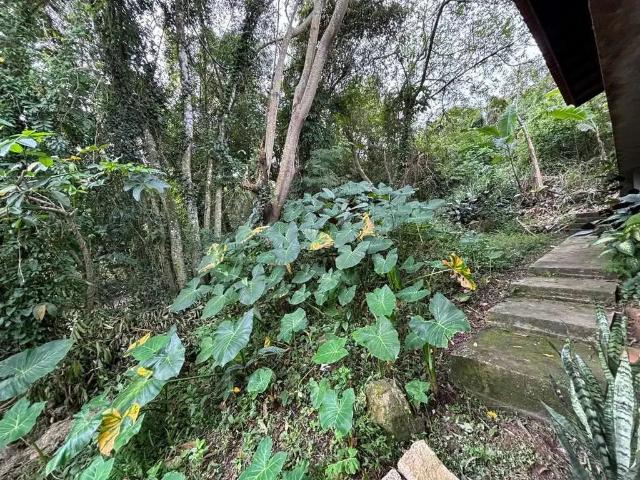 Terreno em Condomínio para Venda em Florianópolis/SC Lagoa da Conceição