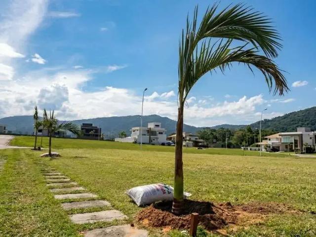 Terreno em Condomínio para Venda em Florianópolis/SC São João do Rio Vermelho