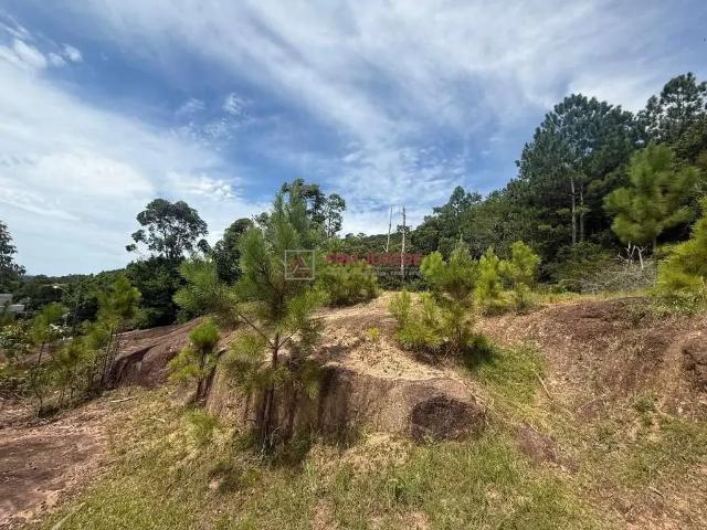 Terreno em Condomínio para Venda em Florianópolis/SC Santo Antônio de Lisboa