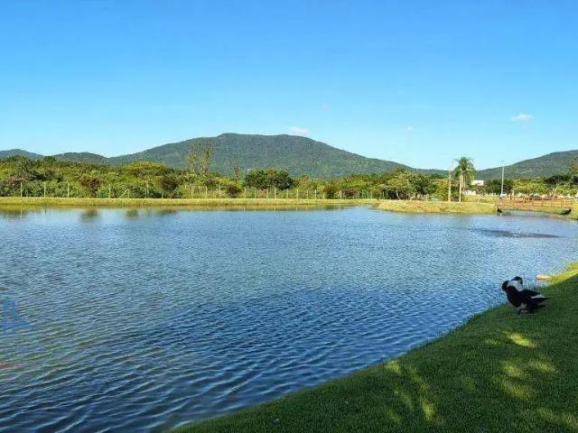 Terreno em Condomínio para Venda em Florianópolis/SC Ratones