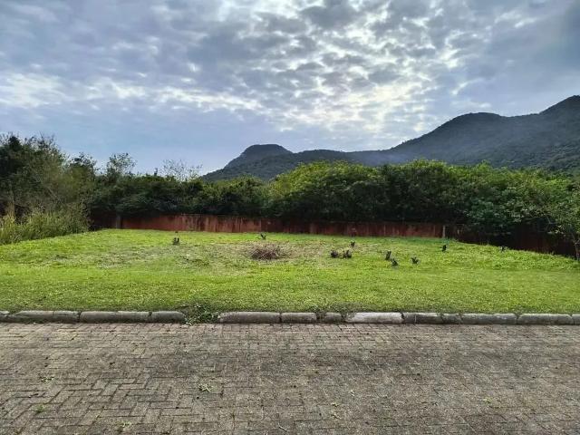 Terreno em Condomínio para Venda em Florianópolis/SC Pântano do Sul