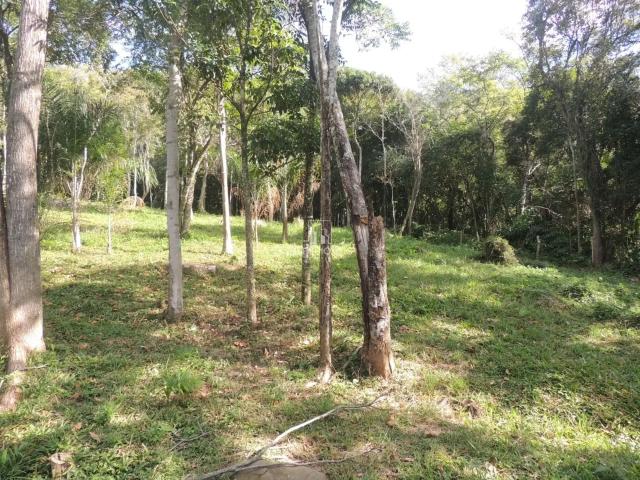 Terreno em Condomínio para Venda em Garopaba/SC Macacu