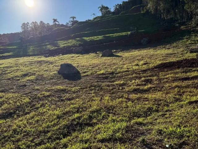 Terreno em Condomínio para Venda em Garopaba/SC Campo Duna