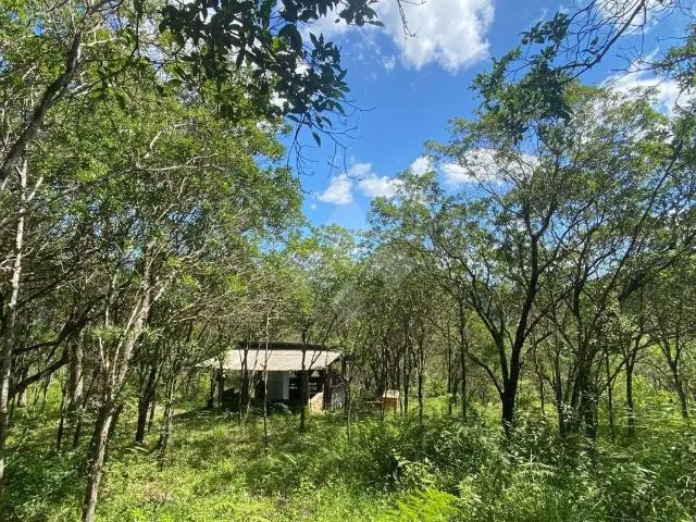 Terreno em Condomínio para Venda em Garopaba/SC Ressacada