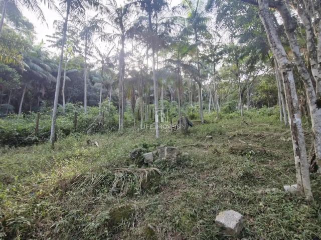 Terreno em Condomínio para Venda em Garopaba/SC Siriú