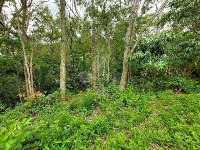 Terreno em Condomínio para Venda em Garopaba/SC Siriú