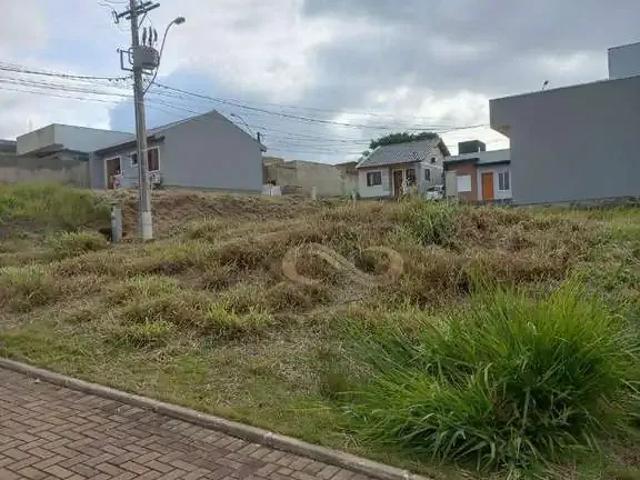 Terreno em Condomínio para Venda em Gravataí/RS Parque Ipiranga