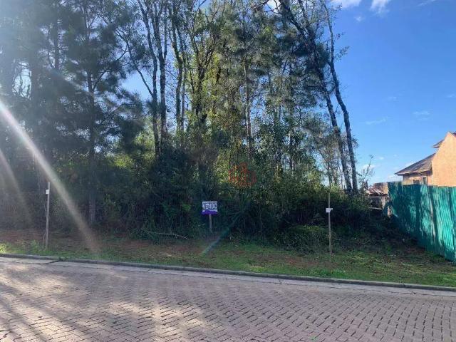 Terreno em Condomínio para Venda em Gramado/RS Carniel