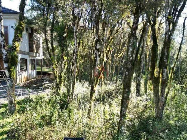Terreno em Condomínio para Venda em Gramado/RS Carniel
