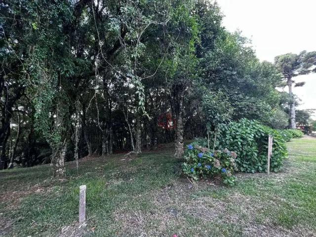 Terreno em Condomínio para Venda em Gramado/RS Centro