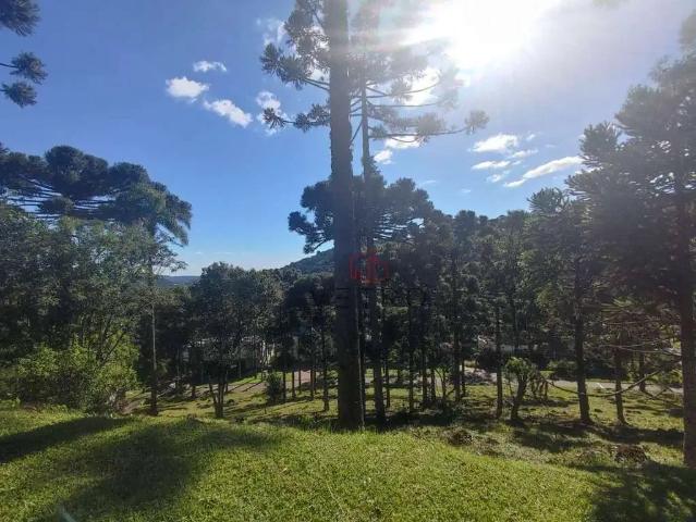 Terreno em Condomínio para Venda em Gramado/RS Aspen Mountain