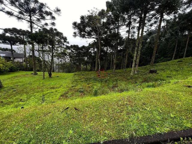 Terreno em Condomínio para Venda em Gramado/RS Aspen Mountain