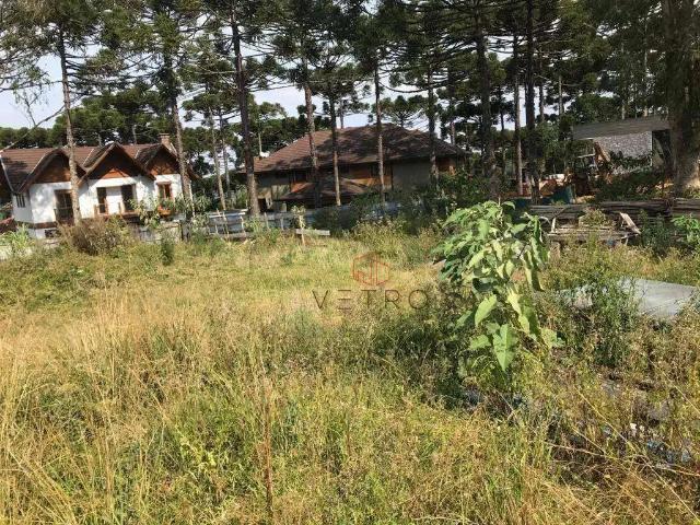 Terreno em Condomínio para Venda em Gramado/RS Aspen Mountain