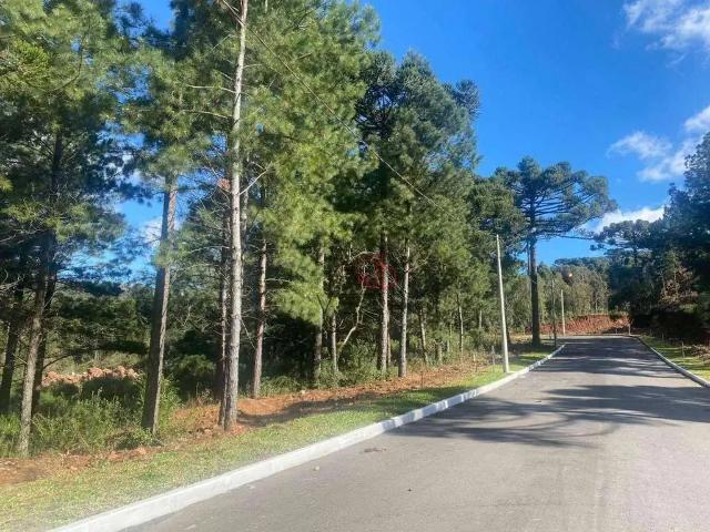 Terreno em Condomínio para Venda em Gramado/RS Dutra