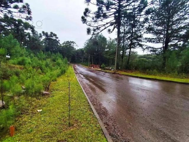 Terreno em Condomínio para Venda em Gramado/RS Dutra
