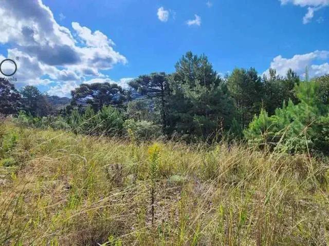 Terreno em Condomínio para Venda em Gramado/RS Dutra
