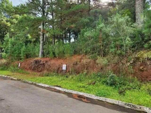 Terreno em Condomínio para Venda em Gramado/RS Dutra