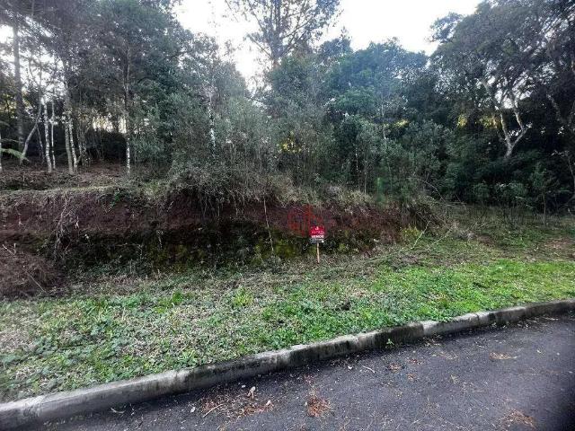 Terreno em Condomínio para Venda em Gramado/RS Dutra