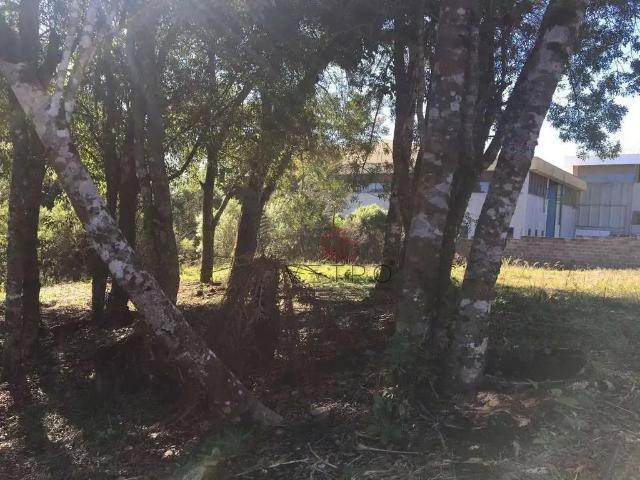Terreno em Condomínio para Venda em Gramado/RS Floresta