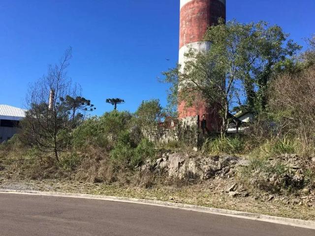 Terreno em Condomínio para Venda em Gramado/RS Floresta