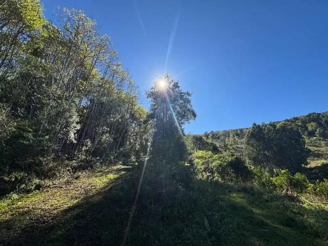 Terreno em Condomínio para Venda em Gramado/RS Linha Bonita