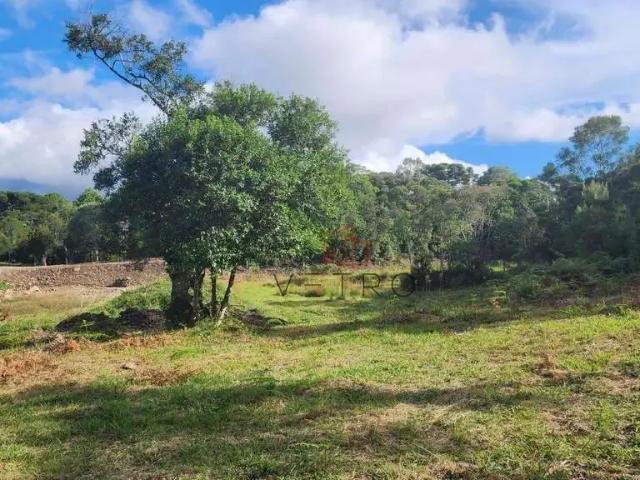 Terreno em Condomínio para Venda em Gramado/RS Mato Queimado